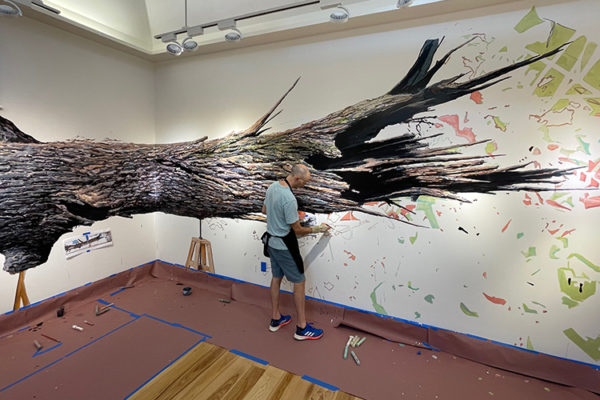 Gallery Talk with Michael MacMahon – Ethan Murrow: The Greenhouse ...